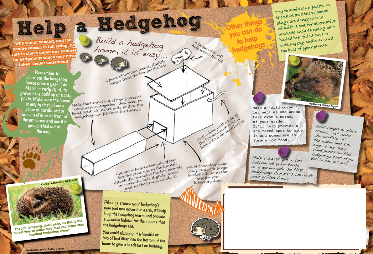 Autumn and Winter Activities | Gloucestershire Wildlife Trust